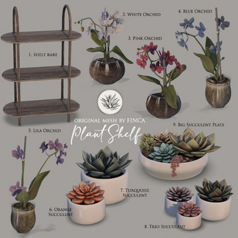 Second Life Marketplace - 8. FINCA Trio Succulent box